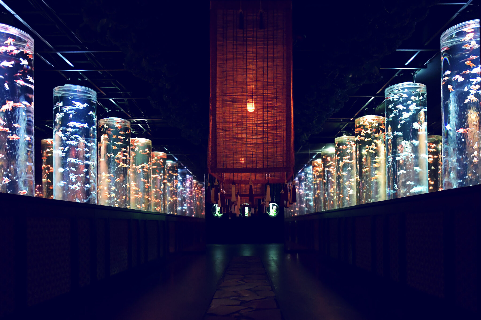 Hydrangeas and Goldfish, Special Exhibit at the Art Aquarium Museum ...
