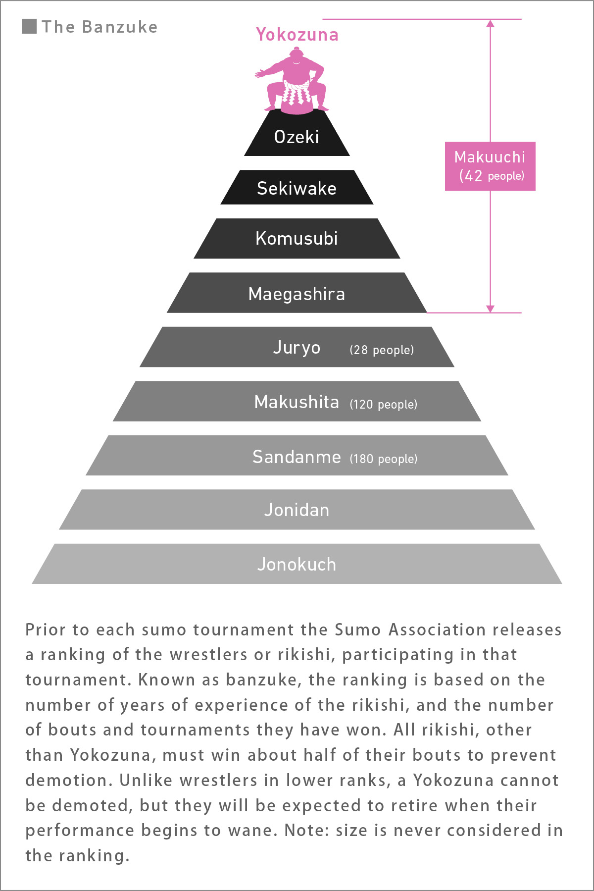 Capturing the Beauty and Brutality of Sumo - ZEROMILE