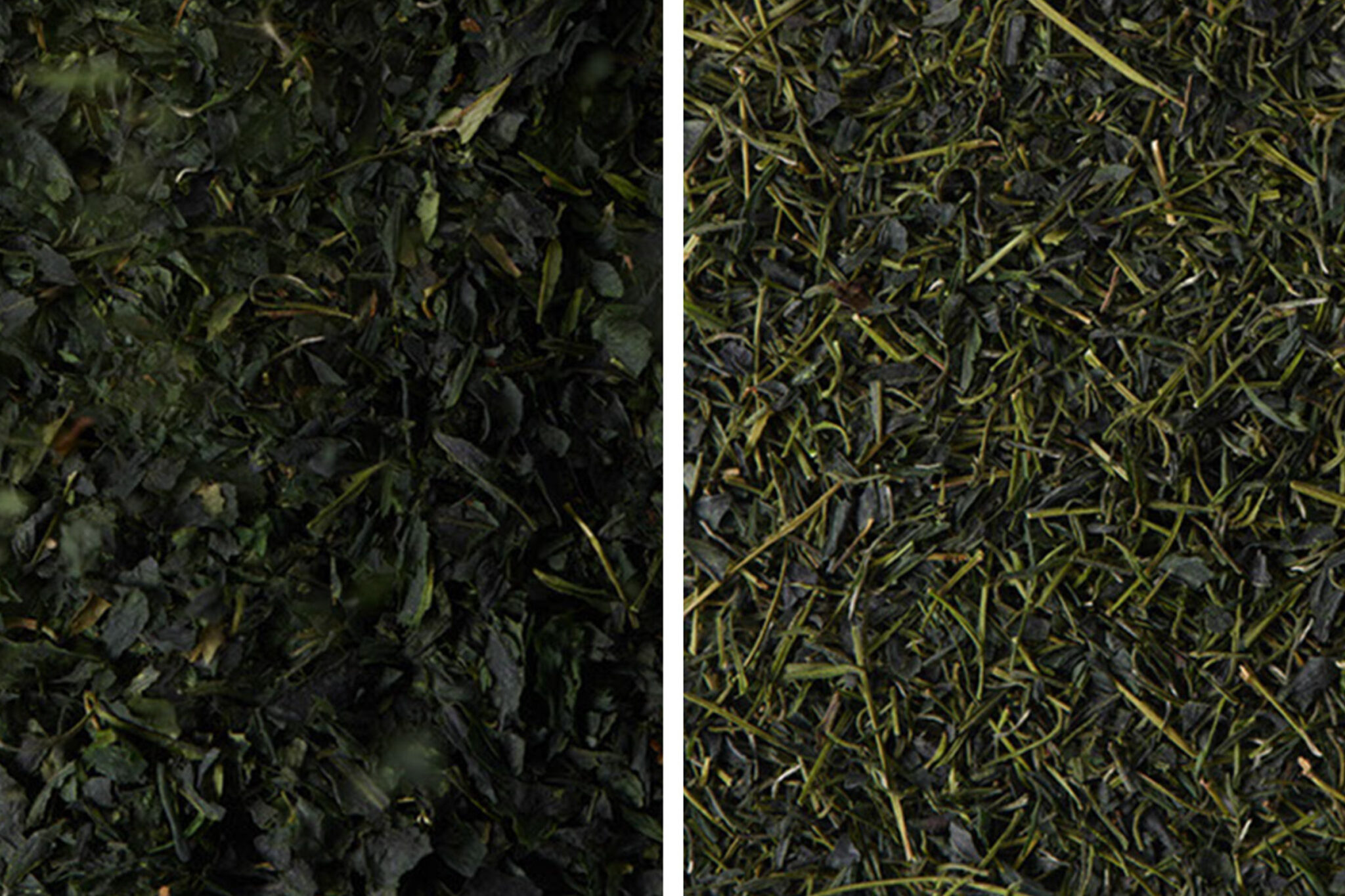 【COLORS OF JAPAN 】“抹茶色 Matcha-Iro” Shades of Matcha Green Tea Through ...