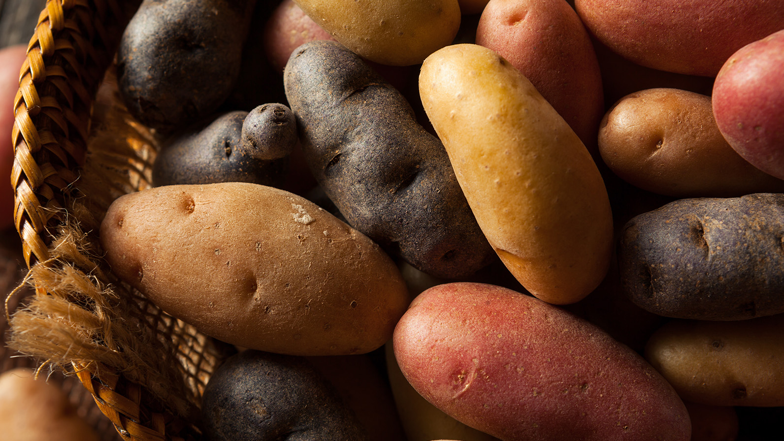 Explore the World of Fragrance-Based Shochu: Sweet Potato Varieties ...
