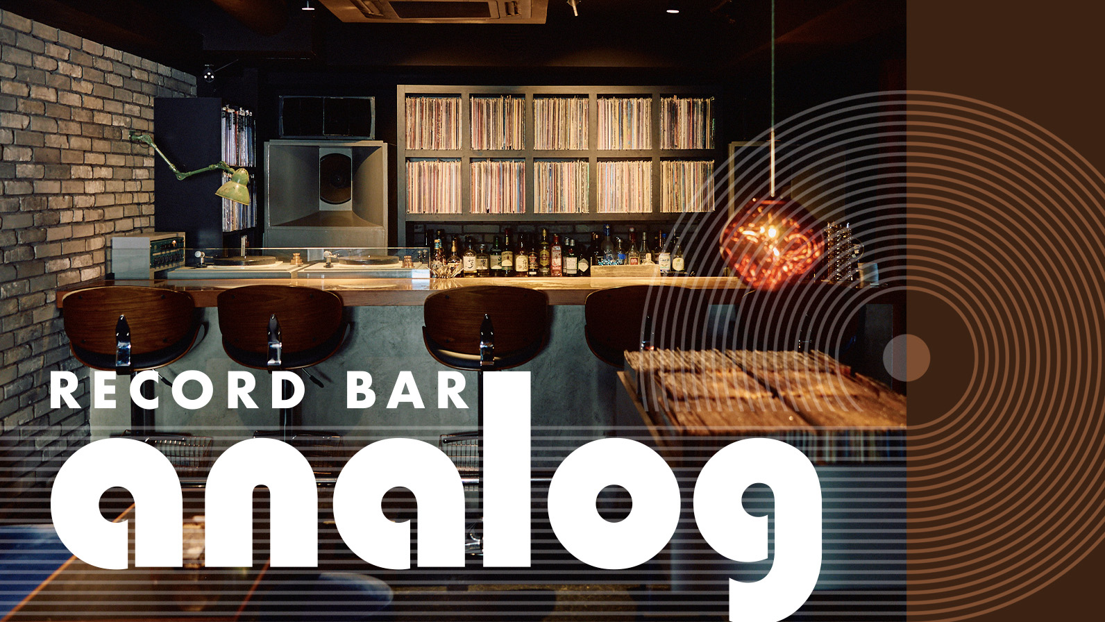 RECORD BAR analog: A Bar Born from Shibuya’s Record Culture - ZEROMILE