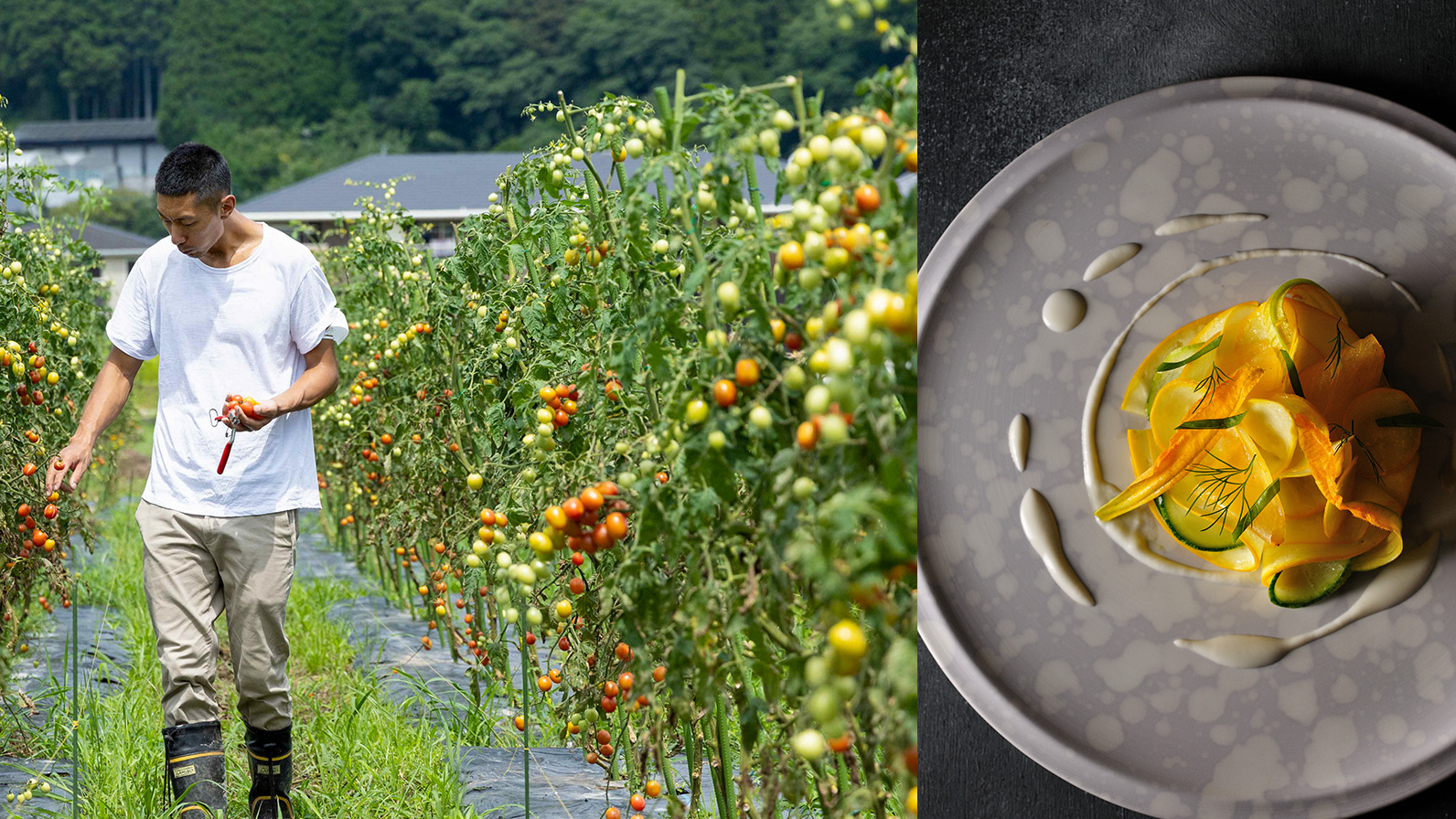 The next-generation multipurpose complex Forestgate Daikanyama is now ...